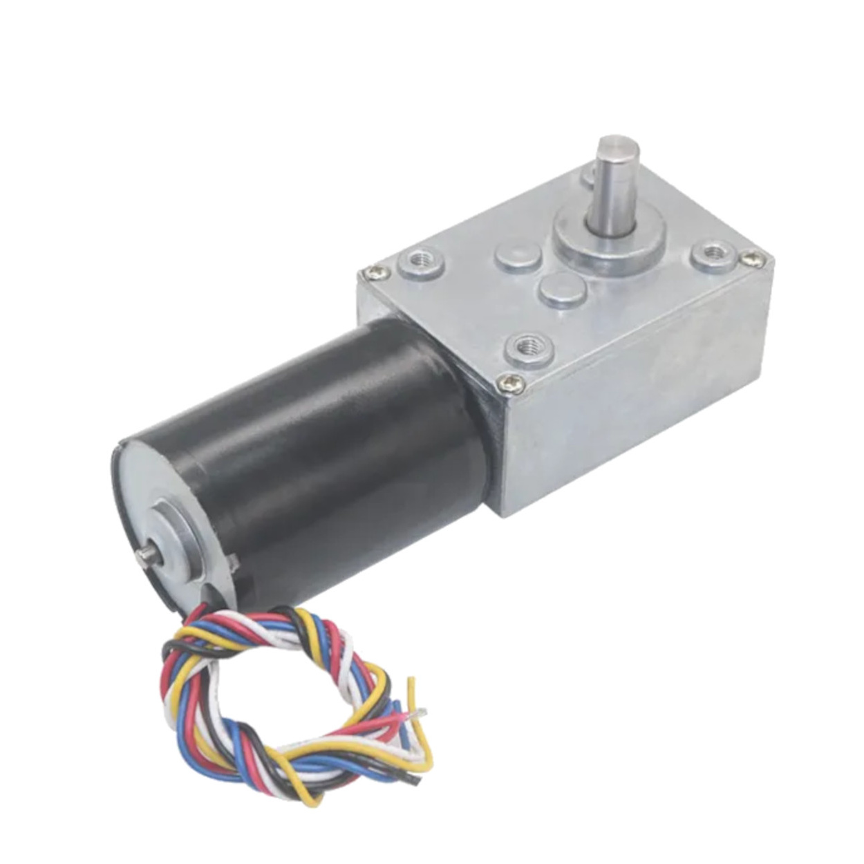 Probots PB-BLDC-5840-3650 12V 160 RPM Brushless DC Worm Gear Reduction Motor with Encoder Buy ...