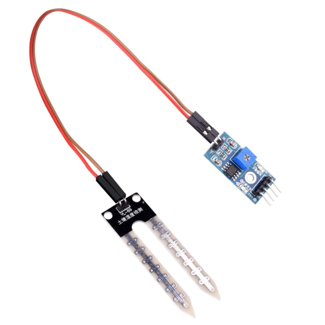 Probots Raspberry Pi Pico W Buy Online India